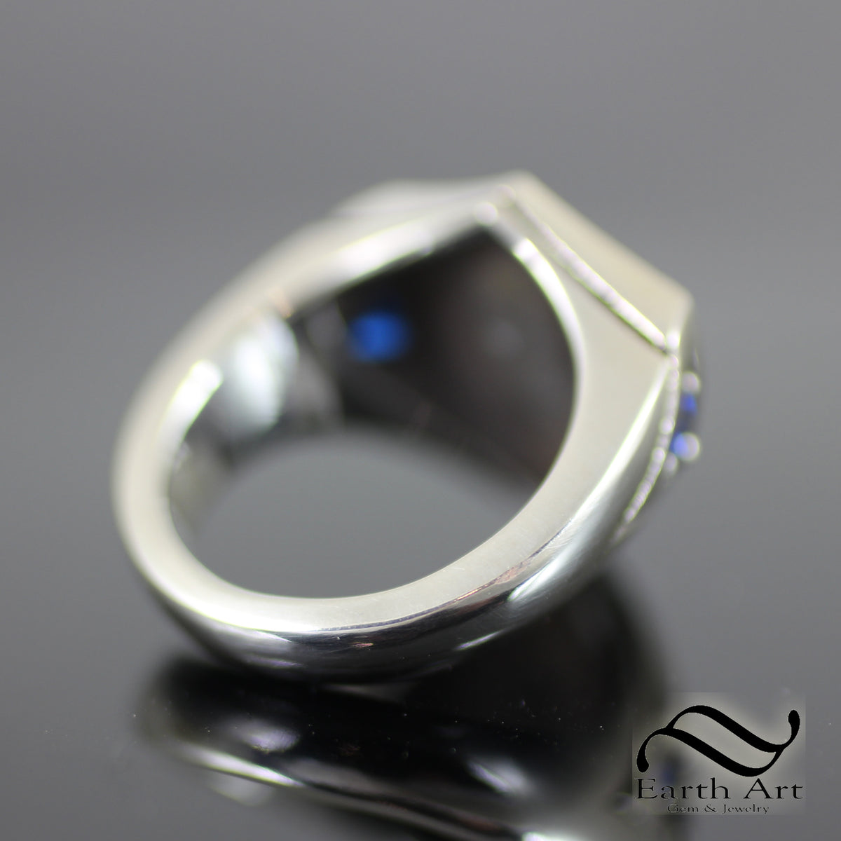 Deluxe House Signet Ring - The Eagle - Sterling Silver and Ancient Bro ...